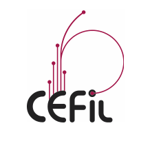 Réseau EIF-FEL